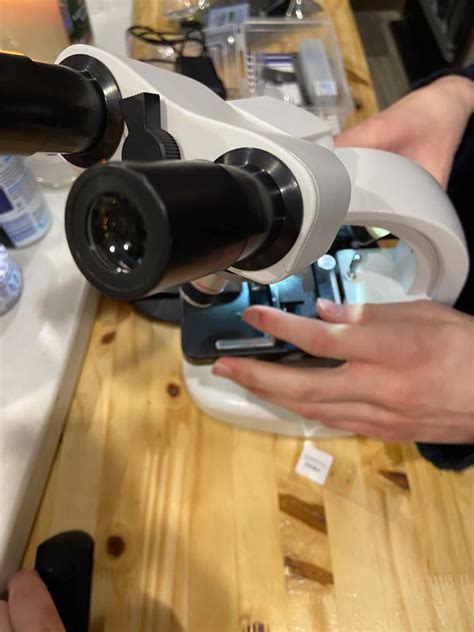 Optika Binocular Microscope 1000x Eplan Objective Microscope