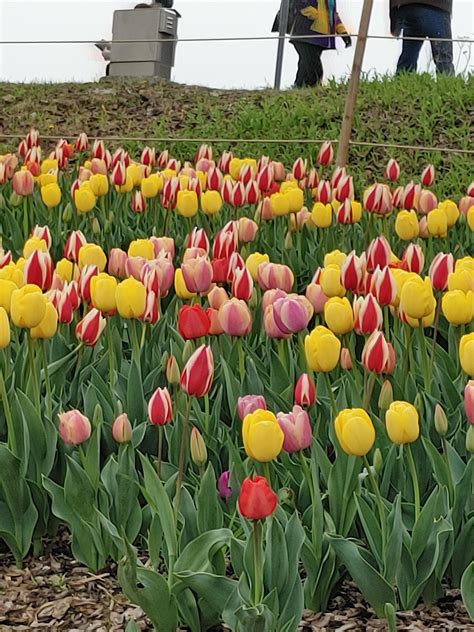 시원한 답변의 지식프로필 ㅣ 궁금할 땐 아하