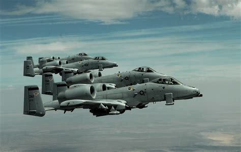 20 Fascinating Warthog Facts That You Probably Didnt Know