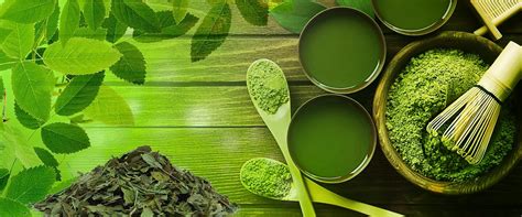 Macha Learn About Macha Maccha And Matcha Green Tea