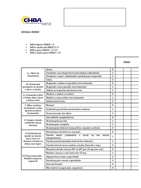 Escala Nihss Pdf Sistema Nervoso Causas De Morte