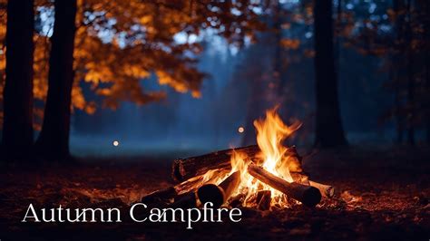 Autumn Campfire Ambience Crackling Fire Night Birds And Soft Wind