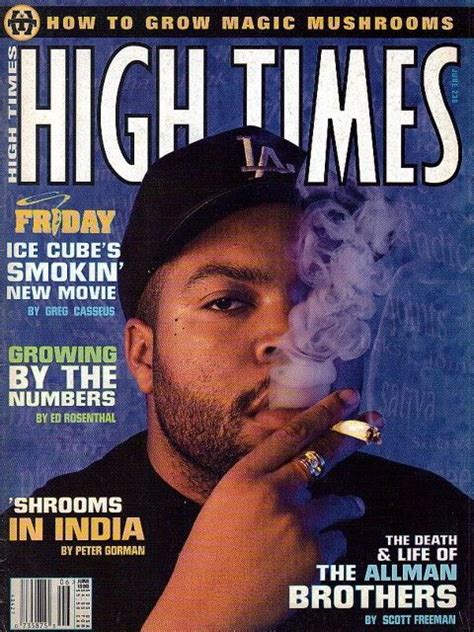 10xendtimes High Times Magazine Covers Retro Poster Art Collage Wall