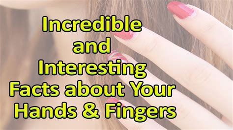 Amazing Facts About Out Hands And Fingers Interesting 20 Real Facts