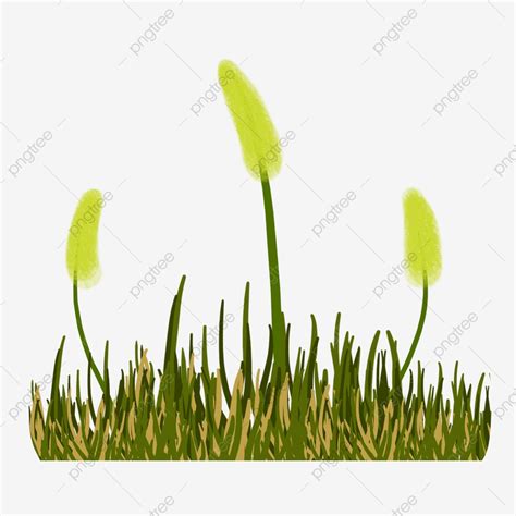 Simple Grass Green Plant Illustration Flattening Growing Living Png