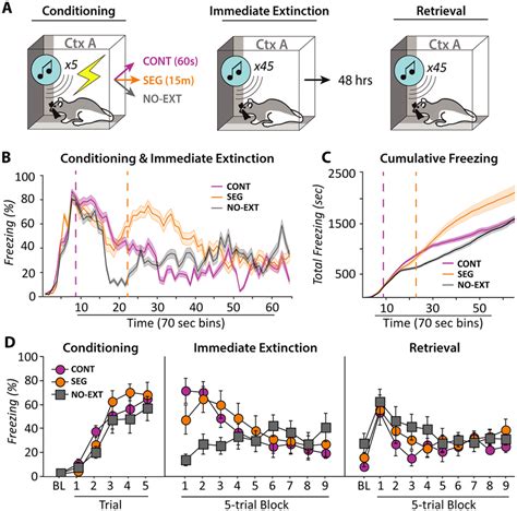 A Continuous Extinction Procedure Does Not Eliminate The Ied A