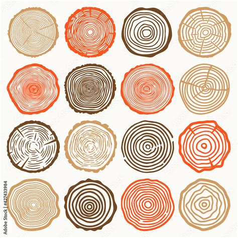 Tree Rings Vector Collection Stock Vector Adobe Stock
