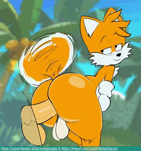 Post 4437211 Kingofacesx Sonicthehedgehogseries Tails Animated