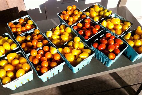 Chilmark General Store
