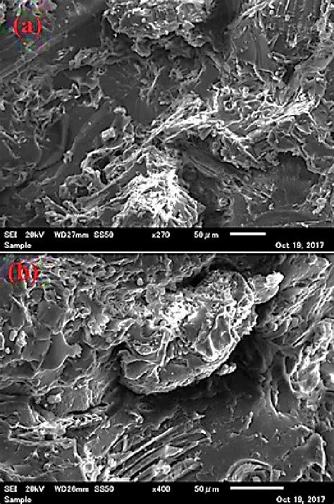Fractured Surface Morphology And Fibermatrix Adhesion In A Prsd And