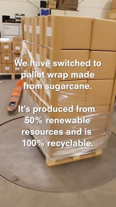 Page Bros On Linkedin World Environment Day Beat Plastic Polution