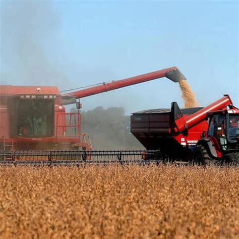 Aerolíneas Argentinas Reconfiguró Su Mapa De Vuelos A Brasil Cuáles Serán Las Nuevas Rutas Y