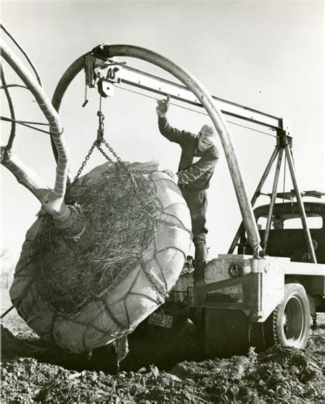 Jessica Teabo On Linkedin 🌳🌳🌳