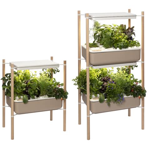 Multo Καλλιεργήστε τα λαχανικά σας στην κουζίνα του σπιτιού σας