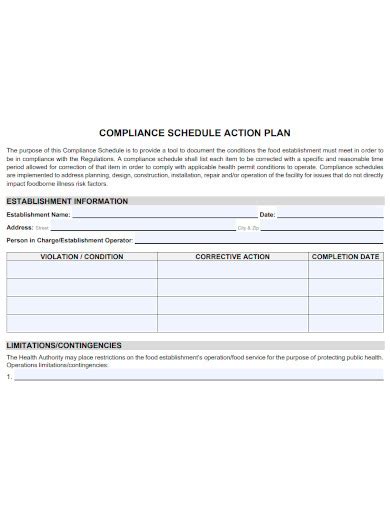 Free 10 Compliance Action Plan Samples [ Corrective Risk Audit ]