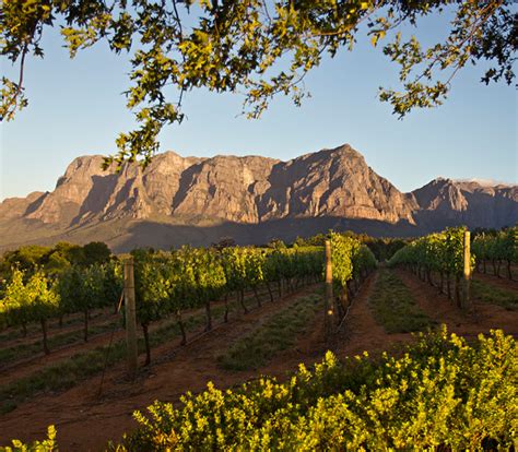 Delaire Graff Wine Tasting Wanderer Tours And Travel