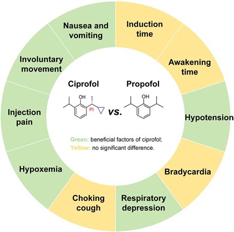 Frontiers Potential Of Ciprofol As An Alternative To Propofol In