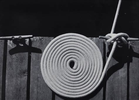 Wayne Mcnulty Photography Prince Edward County Arts Council