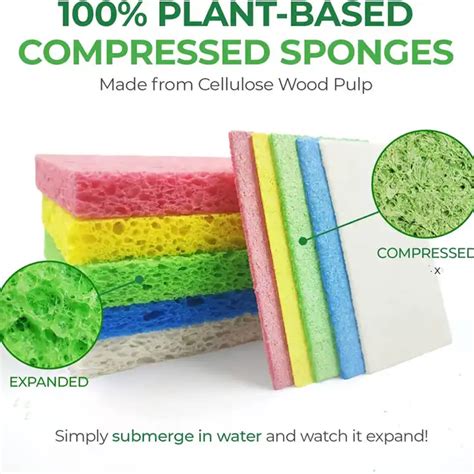 What Are The Best Cellulose Sponge Factories