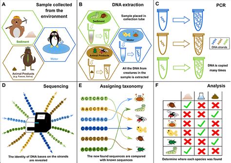 What Can Dna In The Environment Tell Us About An Ecosystem · Frontiers