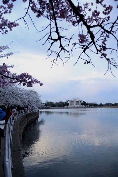 Untitled Lucy Cunningham Flickr