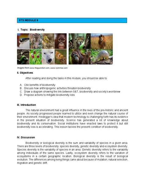 Sts Module 8 Biodiversity Pdf Biodiversity Human Impact On The