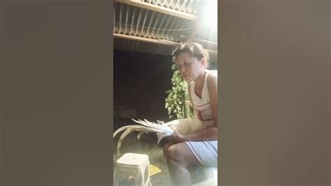 Nagtatanggal Ng Tahod Sa Manoksubscribe Thank You For Watching Youtube