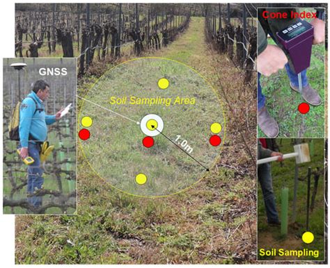 Definition And Validation Of Vineyard Management Zones Based On Soil