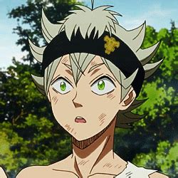Asta  Ice