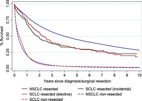Small Cell Survival Rate At Katie Mueller Blog