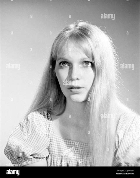 Walter Harvey Fotos Und Bildmaterial In Hoher Auflösung Alamy