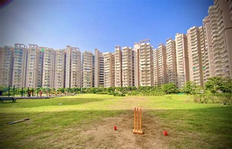 Sport Lifelessons Team Sports Ankur Sachdeva