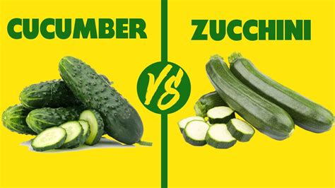 Cucumber Vs Zucchini How Do They Compare Which Comes Out On Top Youtube