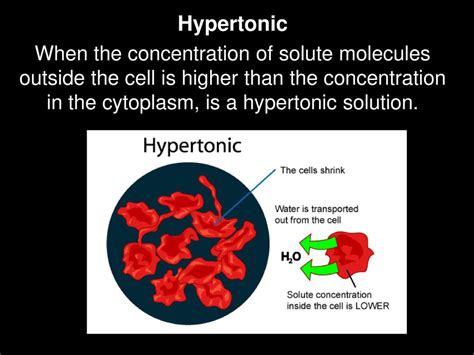 Cells And Their Environment Ppt Download