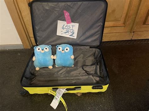 Maximilien Andile On Linkedin Golang