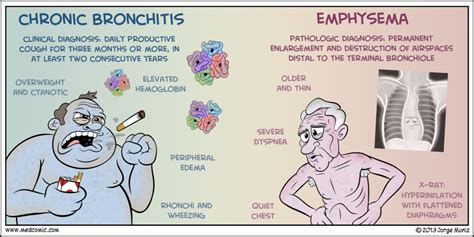 Nremt B Chronic Bronchitis Vs Emphysema