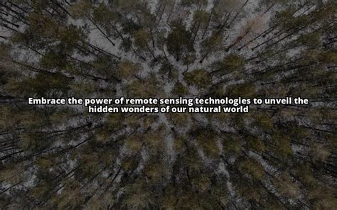 Revolutionizing Environmental Informatics With Remote Sensing Technologies Round Table