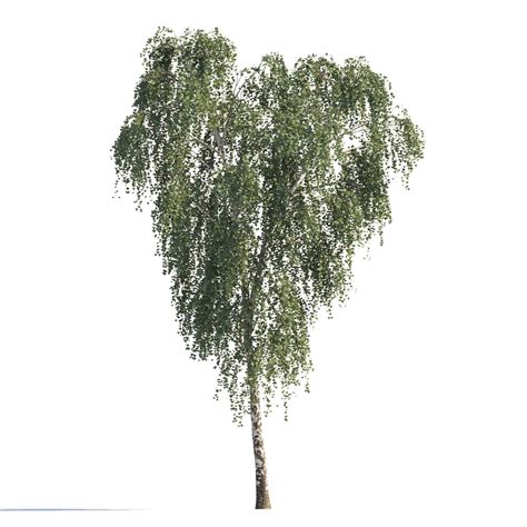 Seasonal Trees Archmodels Vol 258 Evermotion