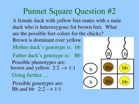 unit 8 genetics powerpoint revised 2006