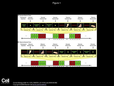 Volume 18 Issue 20 Pages October 2008 Ppt Download