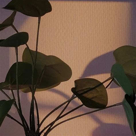 Épinglé Par Pepi Sur Drawing Stuff