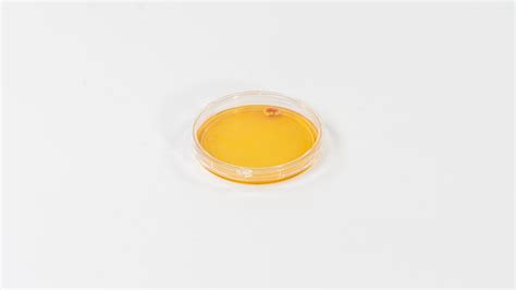 Microtechnix Emma Digitize Microbiology Qc