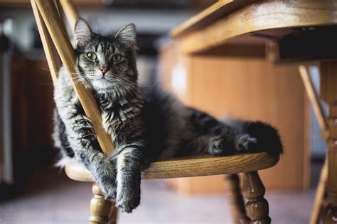 How To Implement Idle Timeout In Angular Bits And Pieces