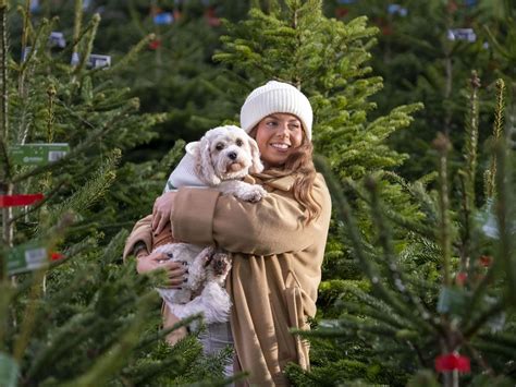 Say Ho Ho Hello To Santa At Dobbies News Whats On Lanarkshire