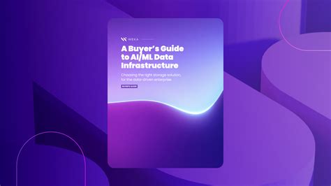 Buyers Guide To Aiml Data Infrastructure Weka