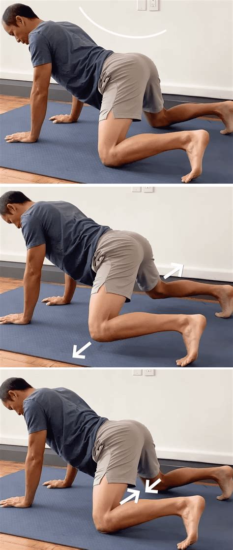 Adductor Muscles Exercises Gym