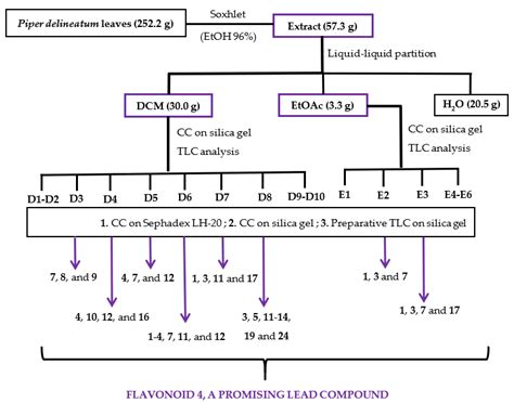 Flowchart Of Bioguided Isolation Of P Delineatum Leaves Against G