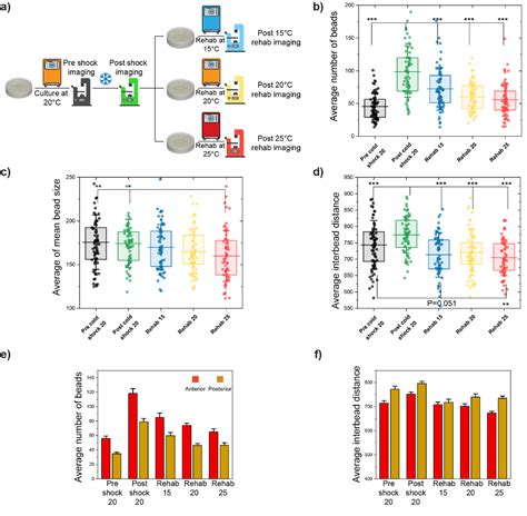 Open Access Deep Learning Enabled Phenotyping Reveals Distinct Patterns Of Neurodegeneration