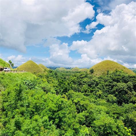 Bohol Habitat Conservation Center Bohol Island All You Need To Know