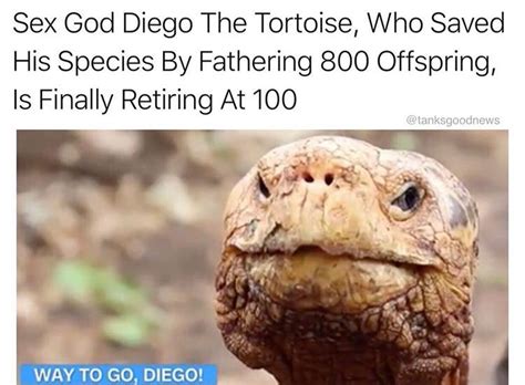 Diego God Of Sex Lust And Fertility R Bossfight